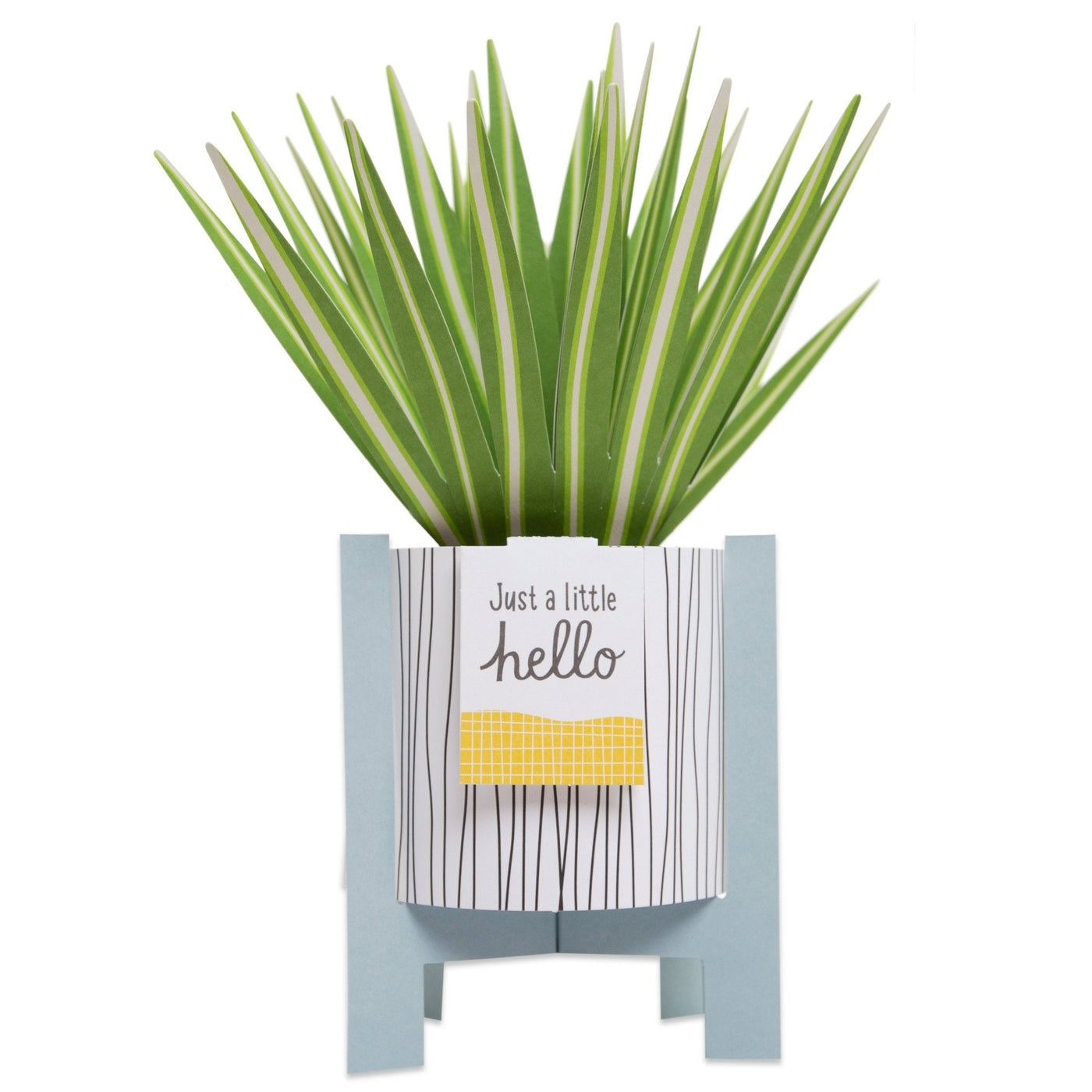 Collections – Hallmark Australia