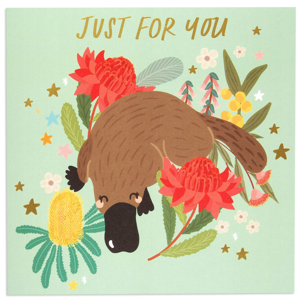 Australian Spirit Bush Buddies Birthday Card - Platypus – Hallmark ...