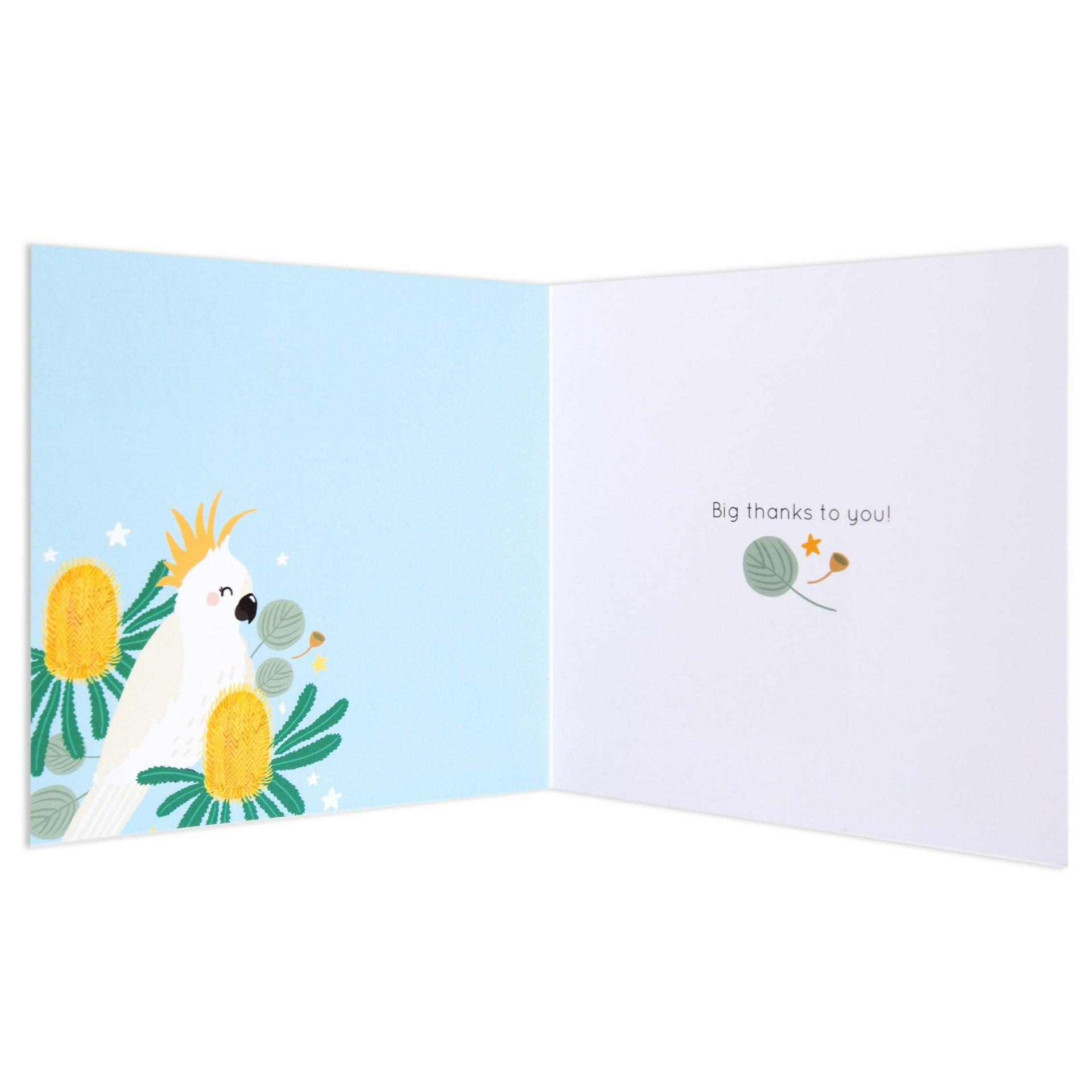 Thank You Cards – Hallmark Australia